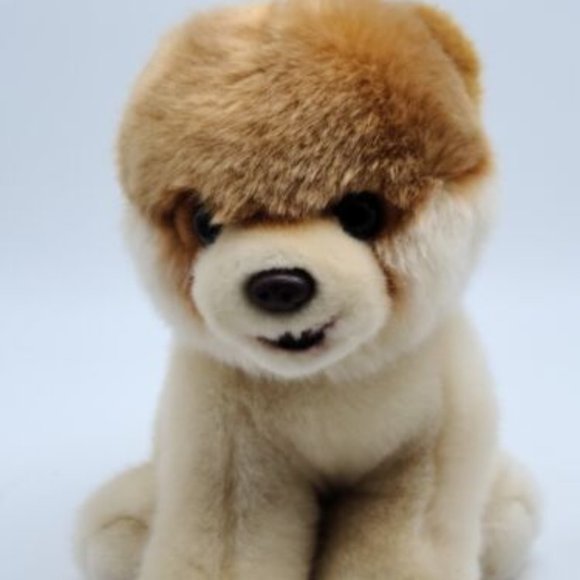 Toys | Gund Boo Worlds Cutest Dog Pomeranian 9 Plush Stuffed Animal Toy ...